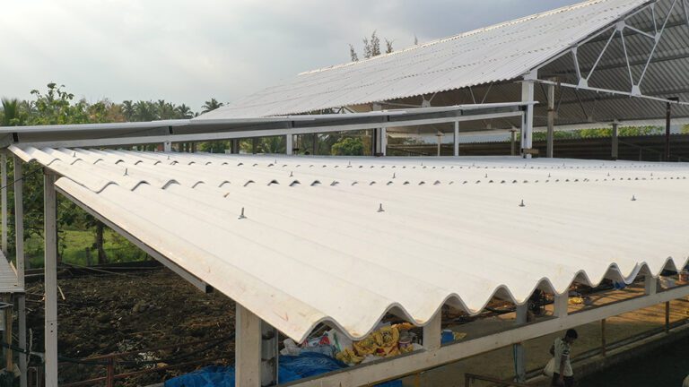 Poultry Farm Roofing: Types of Roofs & Solutions for Poultry Houses